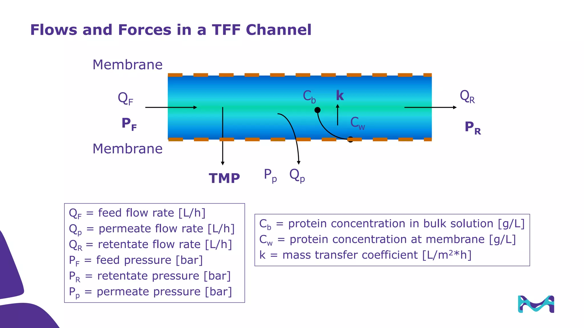 Introduction to Tangential Flow Filtration (TFF) | PDF | Chemistry ...