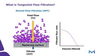 Introduction to Tangential Flow Filtration (TFF) | PDF
