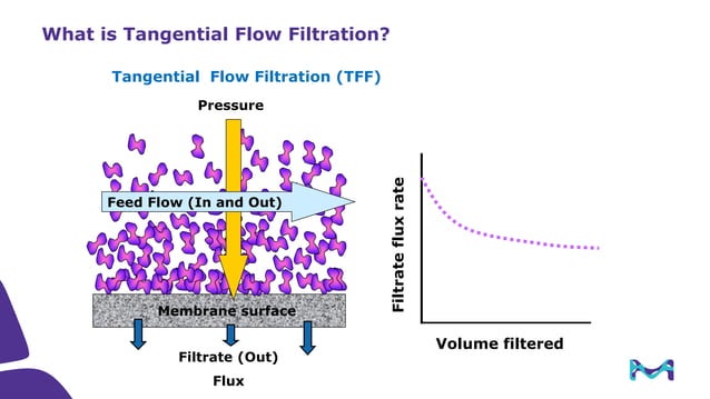 Introduction to Tangential Flow Filtration (TFF)