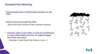 Normal Flow Filtration: Design and Scale Up | PDF