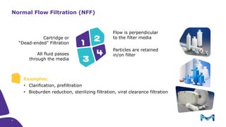 Normal Flow Filtration: Design and Scale Up | PDF