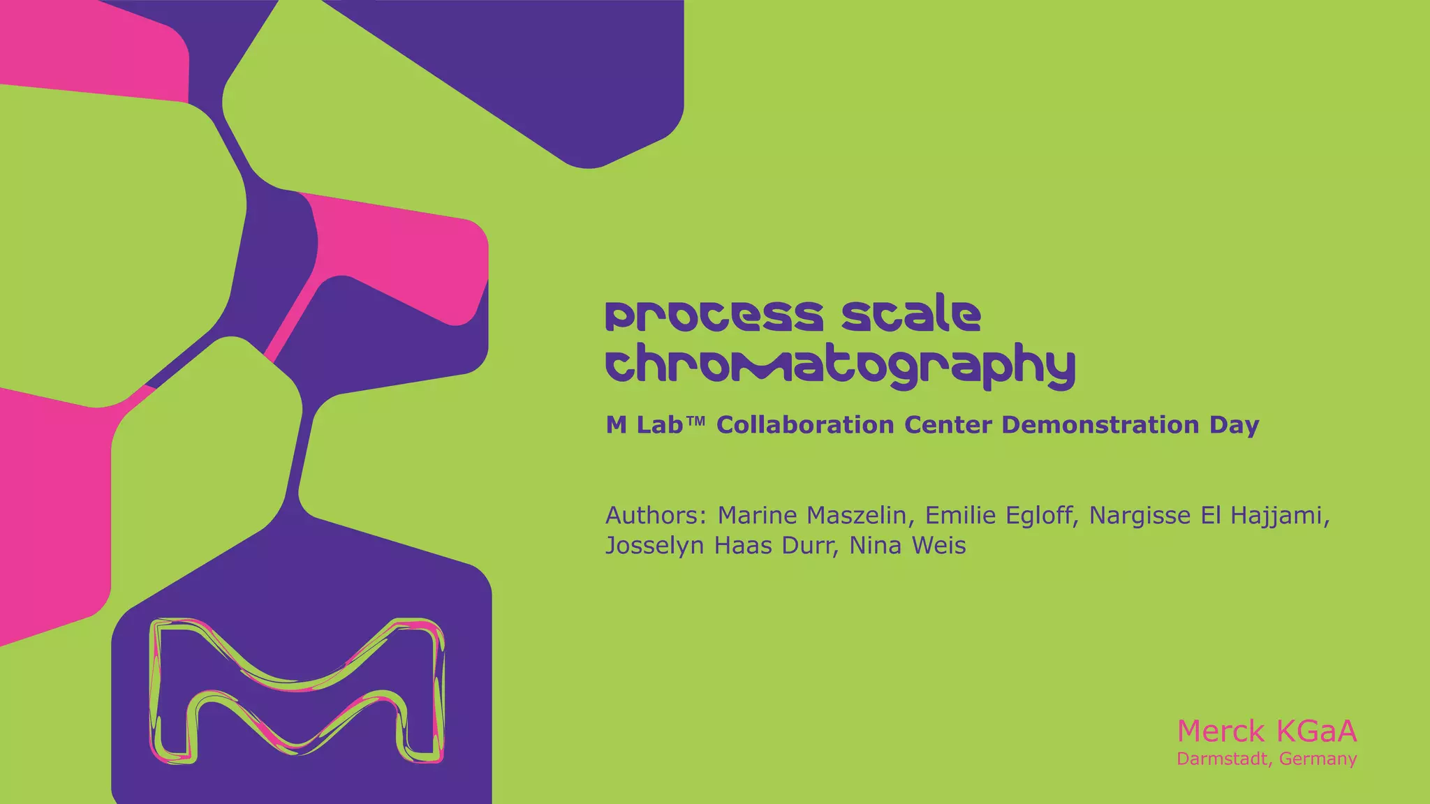 Process Scale Chromatography | PDF