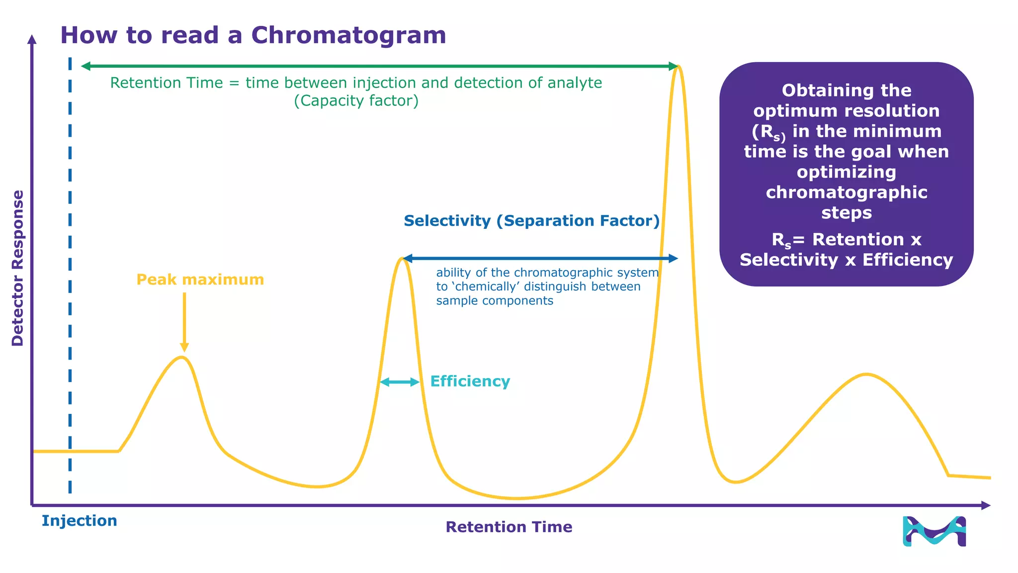 Process Scale Chromatography | PDF