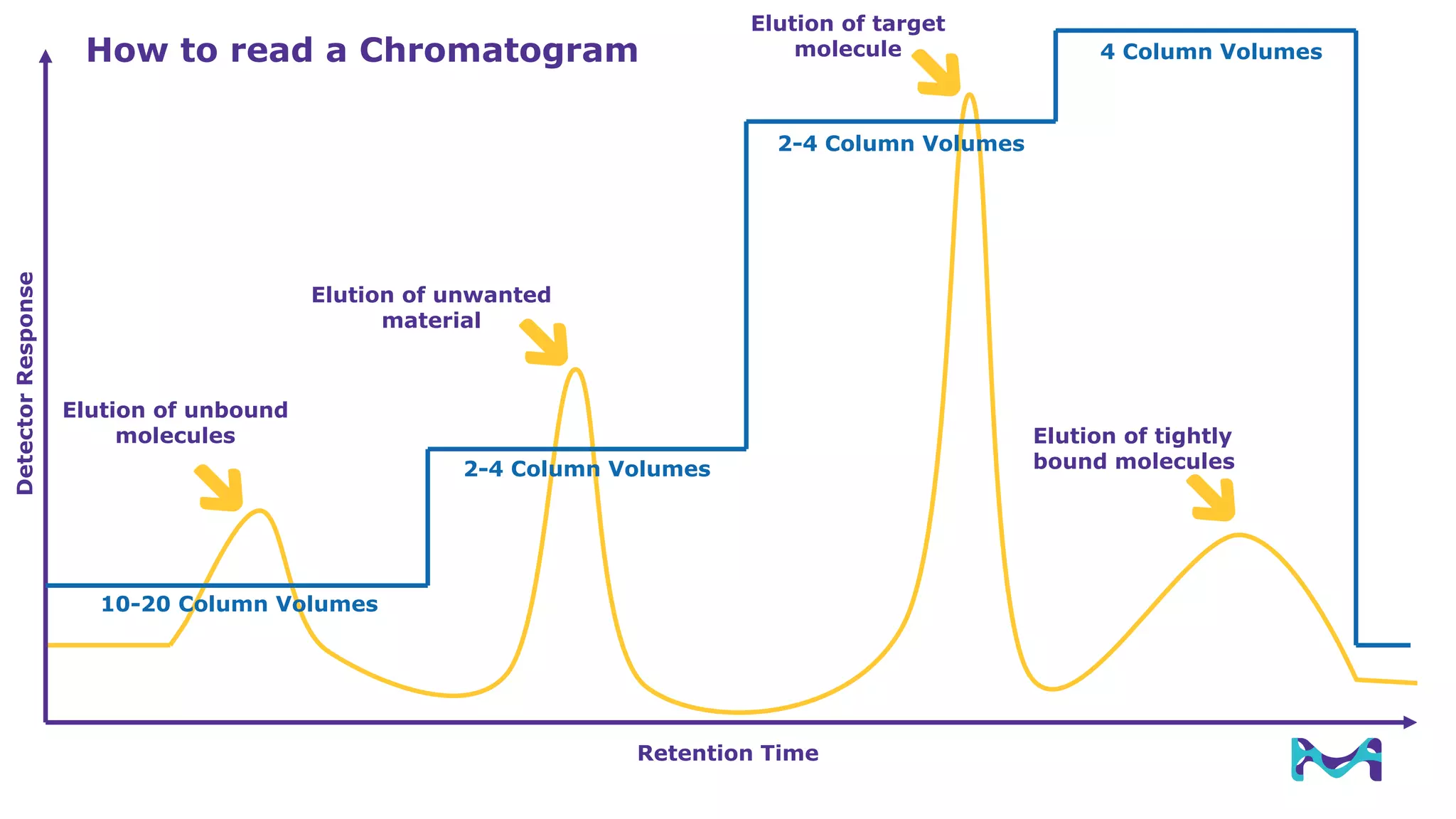 Process Scale Chromatography | PDF