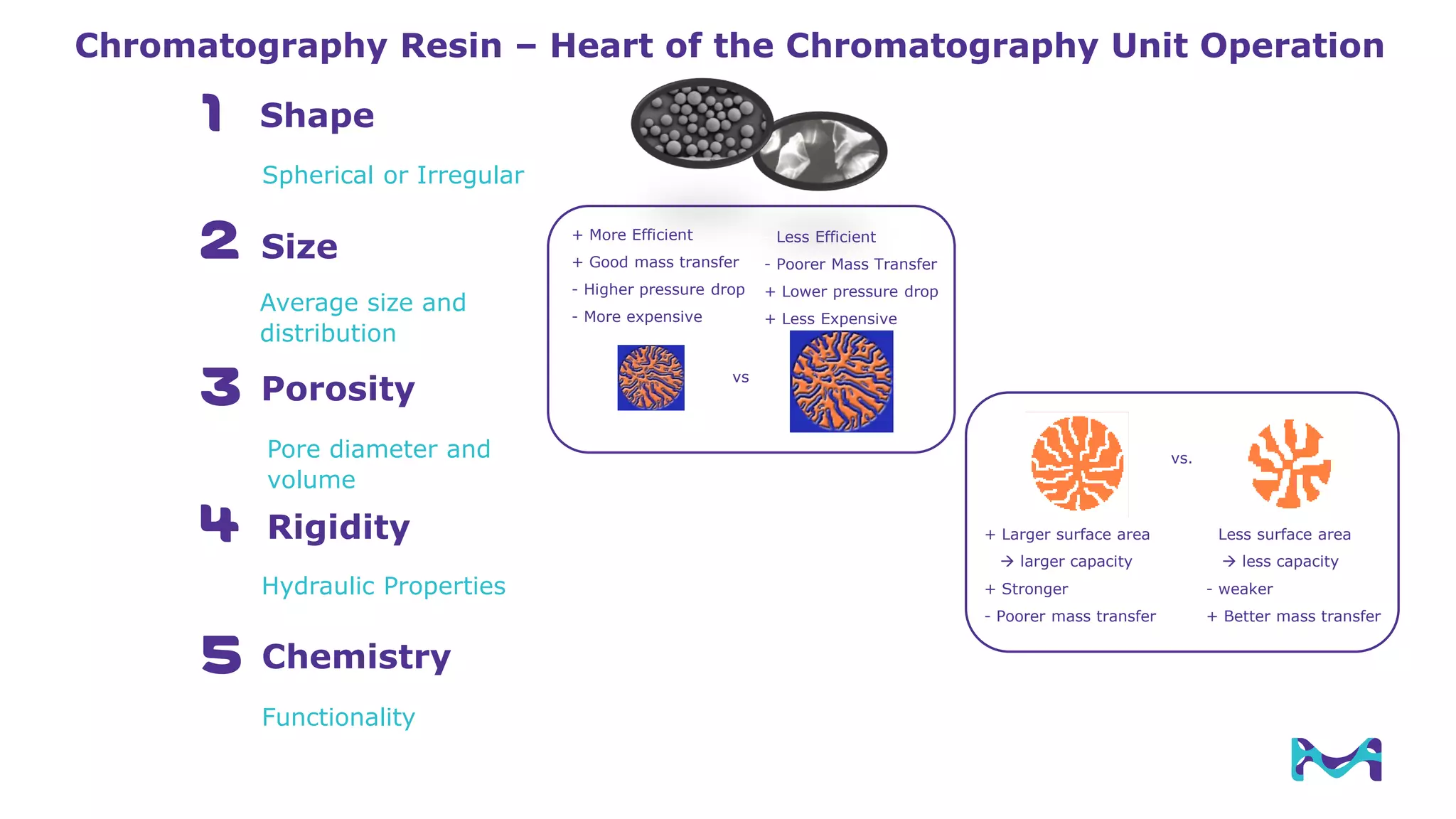 Process Scale Chromatography | PDF
