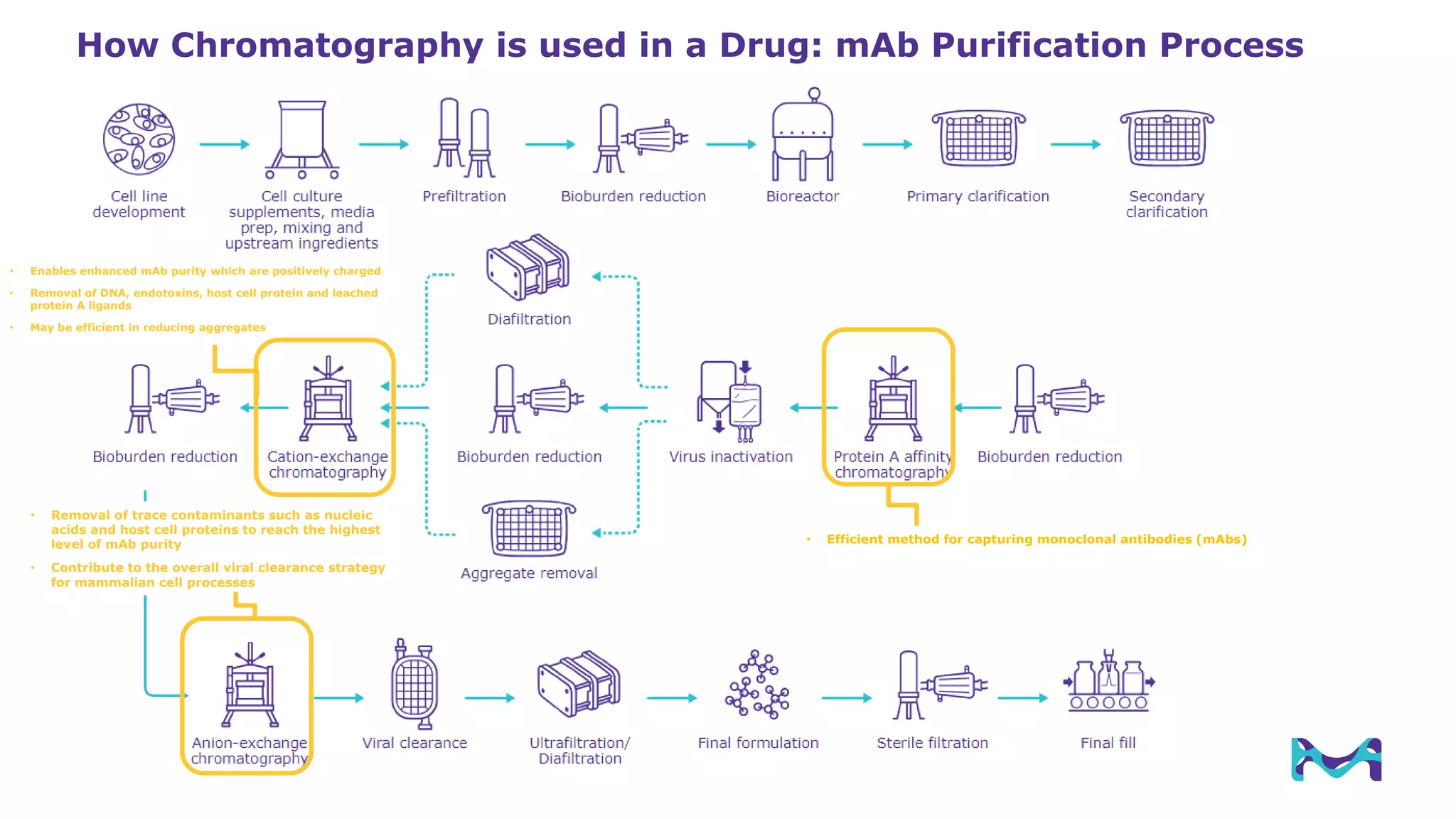 Process Scale Chromatography | PDF