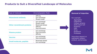 Process Scale Chromatography | PDF