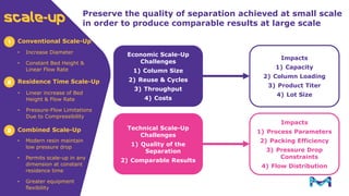 Process Scale Chromatography | PDF