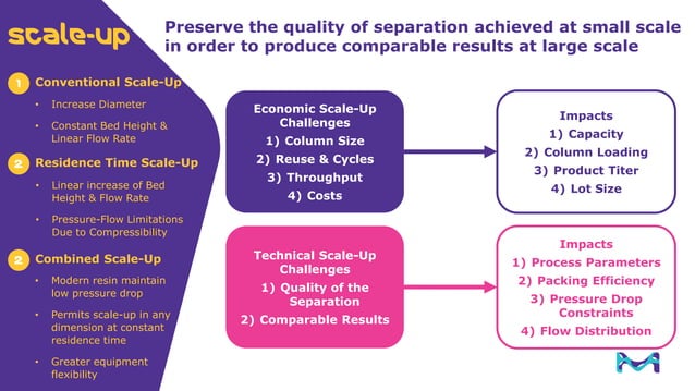 Process Scale Chromatography | PDF