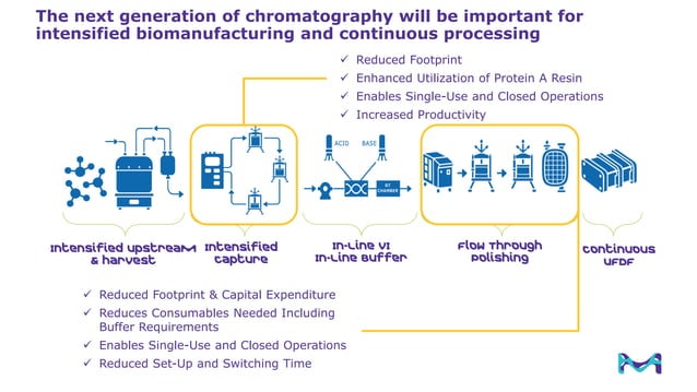 Process Scale Chromatography | PDF