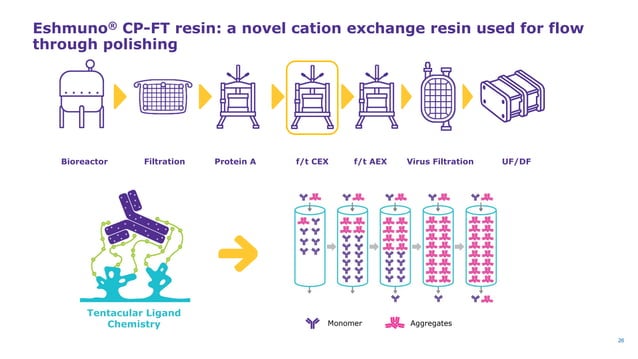 Process Scale Chromatography | PDF