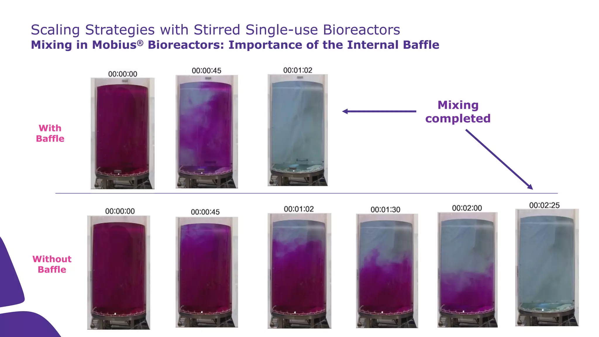 Scaling Strategies with Stirred Single-Use Bioreactors from Bench to ...