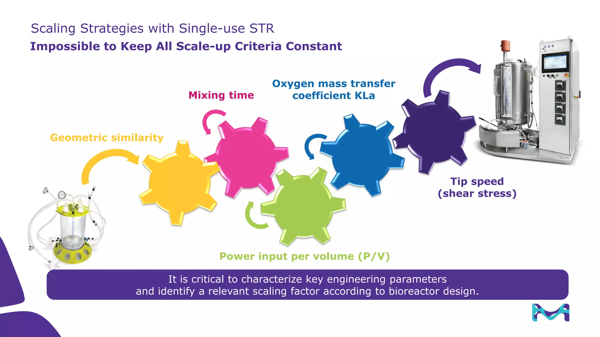 Scaling Strategies with Stirred Single-Use Bioreactors from Bench to ...