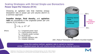 Scaling Strategies with Stirred Single-Use Bioreactors from Bench to Clinical Scale | PPT