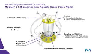 Scaling Strategies with Stirred Single-Use Bioreactors from Bench to ...