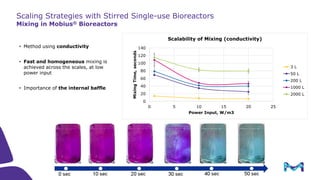 Scaling Strategies with Stirred Single-Use Bioreactors from Bench to ...