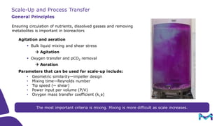 Scaling Strategies with Stirred Single-Use Bioreactors from Bench to Clinical Scale | PPT