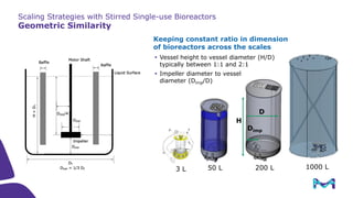 Scaling Strategies with Stirred Single-Use Bioreactors from Bench to ...