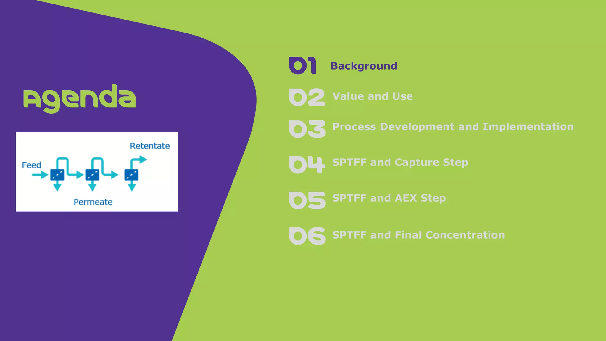 Single-Pass Tangential Flow Filtration (SPTFF) Theory and Practice | PDF