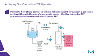 Optimization of Tangential Flow Filtration Applications and Scale Up ...