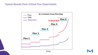 Optimization of Tangential Flow Filtration Applications and Scale Up ...