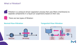 Optimization of Tangential Flow Filtration Applications and Scale Up ...