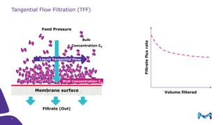 Optimization of Tangential Flow Filtration Applications and Scale Up ...