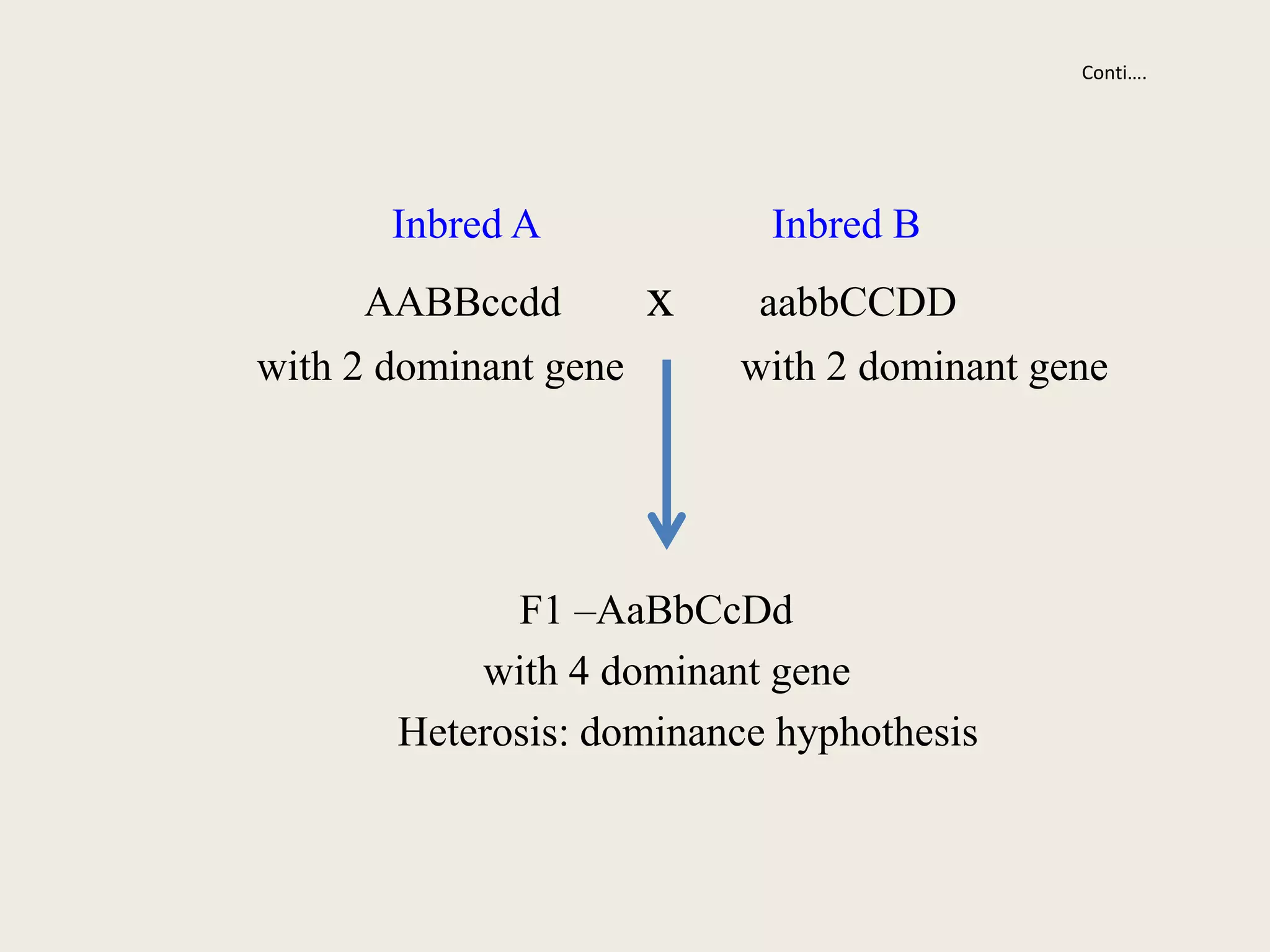 Molecular basis of inbreeding and heterosis in crop | PPTX