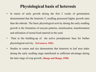 Molecular basis of inbreeding and heterosis in crop | PPTX