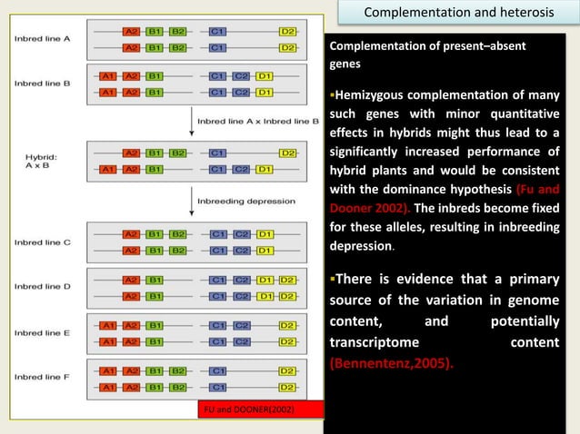 Molecular basis of inbreeding and heterosis in crop | PPTX