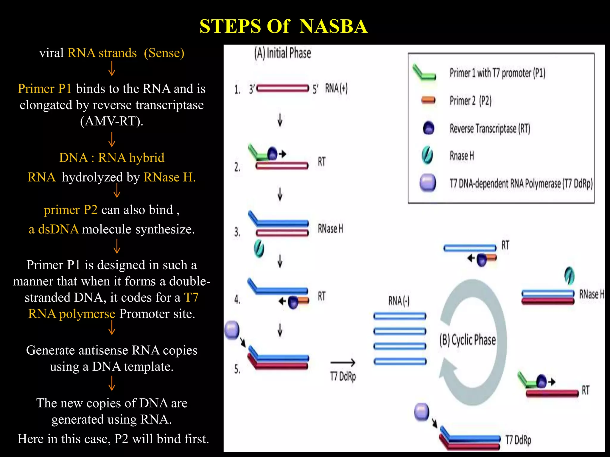 Molecular Techniques For Disease Diagnosis | PPTX