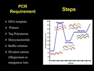 Molecular Techniques For Disease Diagnosis | PPTX
