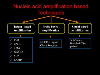 Molecular Techniques For Disease Diagnosis | PPTX