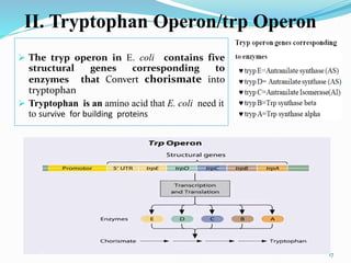 Gene expression and regulation | PPT