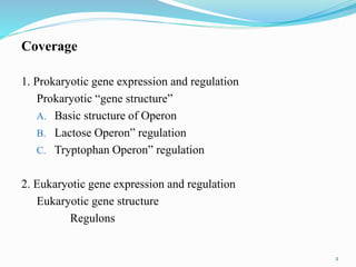 Gene expression and regulation | PPT