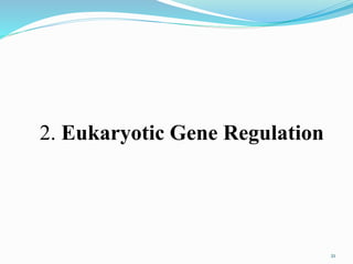 Gene expression and regulation | PPT
