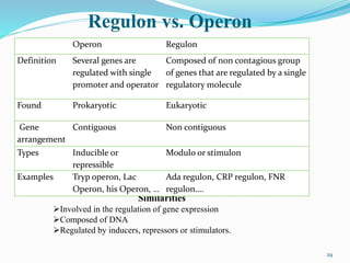 Gene expression and regulation | PPT