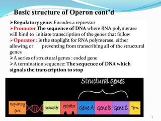 Gene expression and regulation | PPT