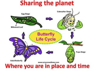 Making the PYP Happen | PPT