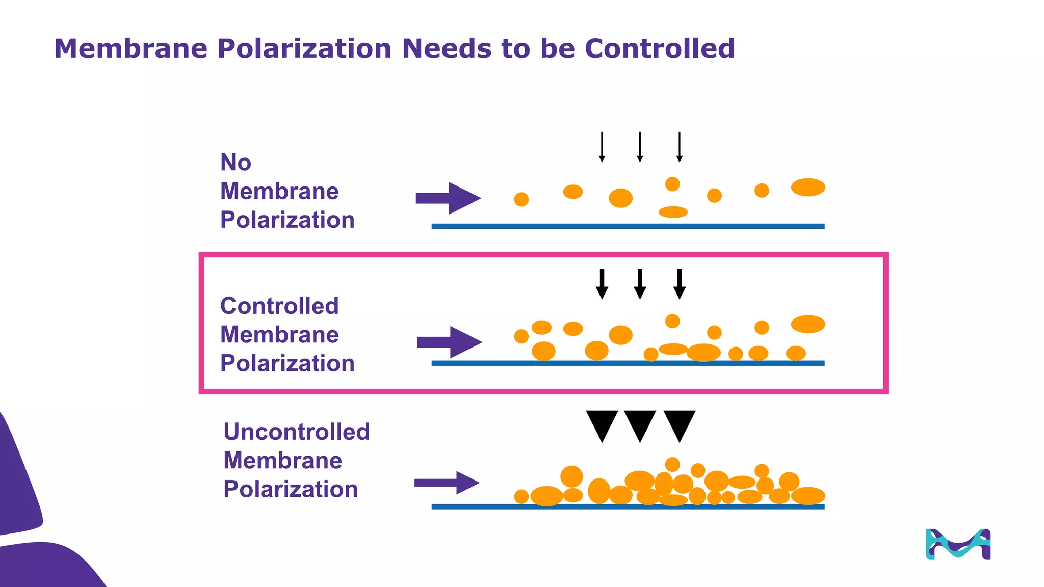 Introduction to Tangential Flow Filtration (TFF) | PDF