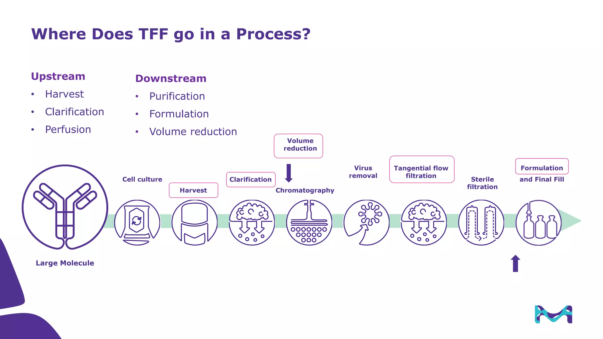 Introduction to Tangential Flow Filtration (TFF) | PDF