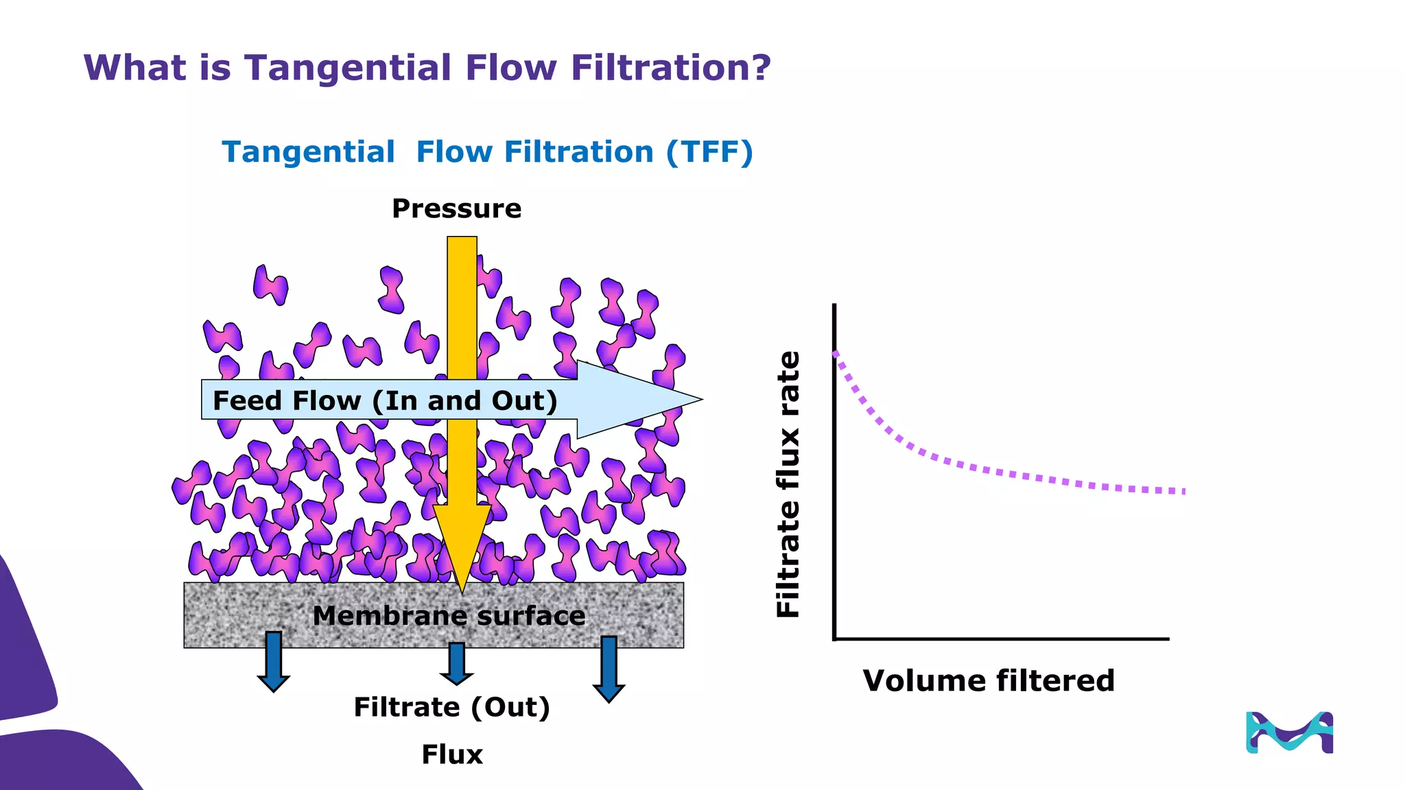 Introduction to Tangential Flow Filtration (TFF) | PDF