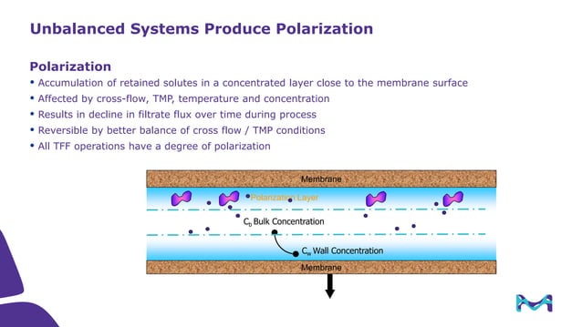 Introduction to Tangential Flow Filtration (TFF) | PDF | Chemistry ...