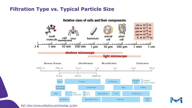 Introduction to Tangential Flow Filtration (TFF) | PDF | Chemistry ...