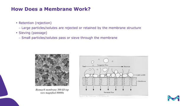 Introduction to Tangential Flow Filtration (TFF) | PDF | Chemistry ...