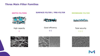 Normal Flow Filtration: Design and Scale Up | PDF
