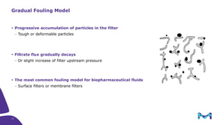 Normal Flow Filtration: Design and Scale Up | PDF