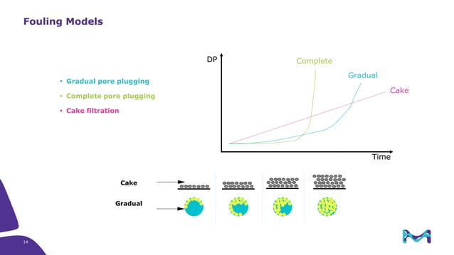 Normal Flow Filtration: Design and Scale Up | PDF | Water Services ...