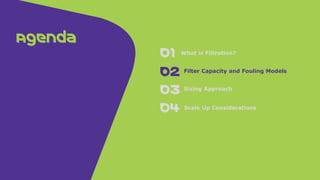 Normal Flow Filtration: Design and Scale Up | PDF
