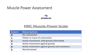 Final Muscular skeletal EXAM presentation.pptx